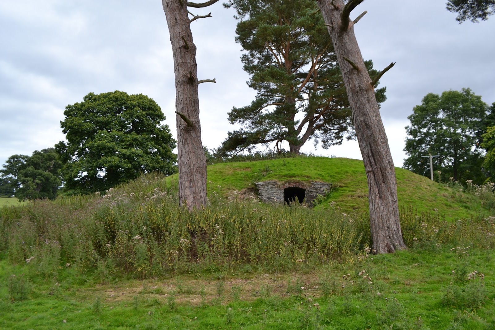 Exploring North Wales: Fabulous Walking Festival at CorwenRhug