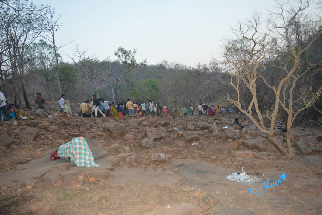 My journey and experiences of Mysterious Saleshwaram Temple ll Nallamala...