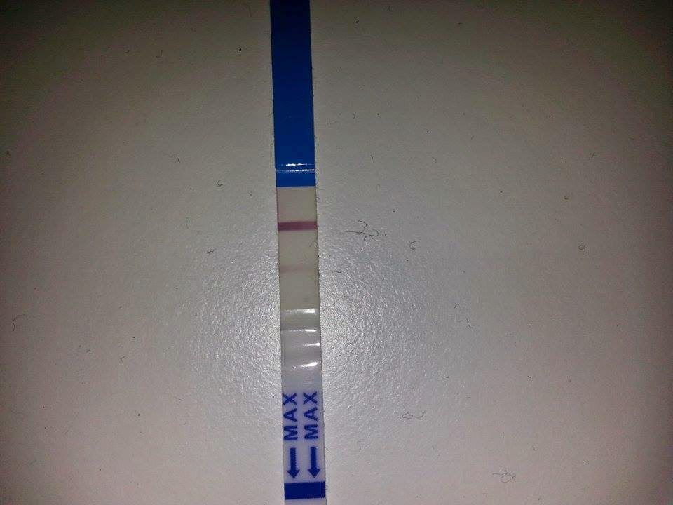 PREGNANCY TEST (UPT) MURAH GALLERY | Ovulation test kit (opk ...