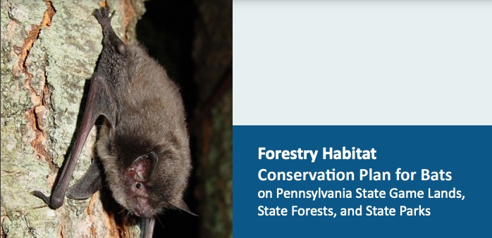 PA Environment Digest Blog: U.S. Fish & Wildlife Service, Game ...