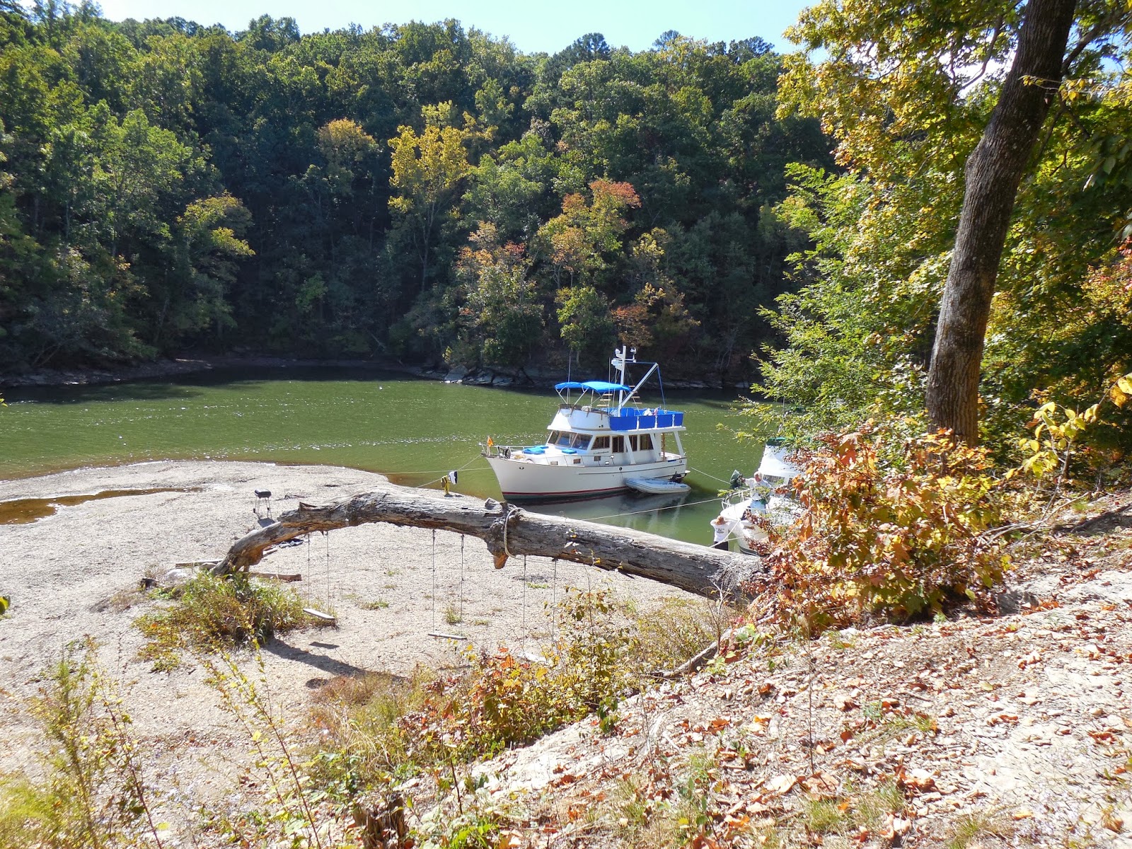 Southern Belle: Waterfall Anchorage - Pickwick Lake