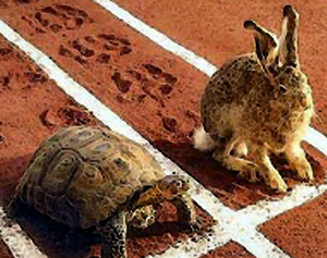 Life Lessons: Hare Race ... Tortoise Pace ...