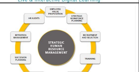 Talentedge: The Basic Concepts of Human Resource Management