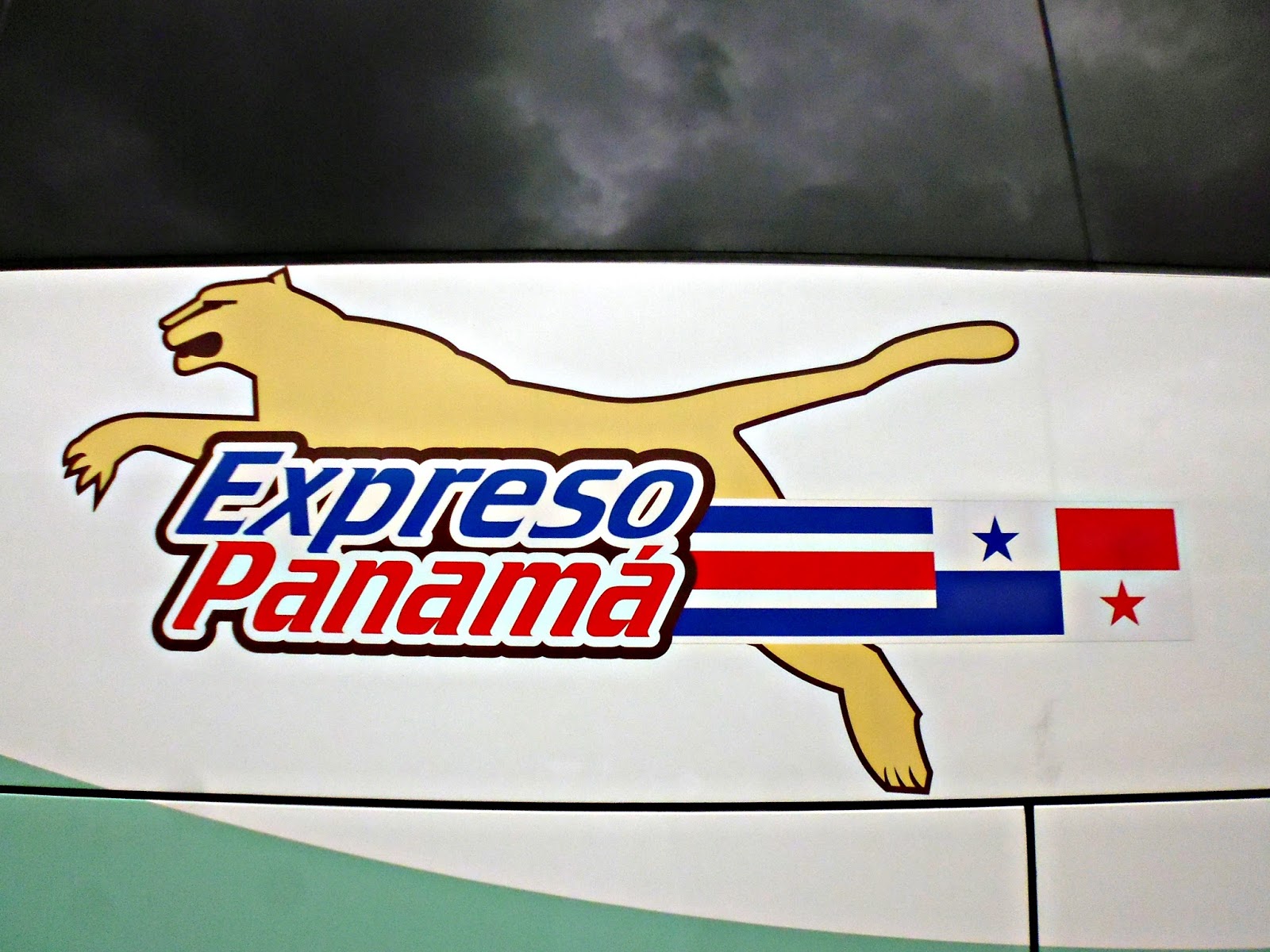 Buses de Tiquicia: 2016