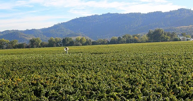 A Stylish Napa Weekend Getaway Recap | Stylelista Confessions