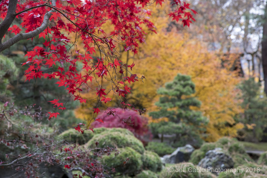 Jeff Cable's Blog: The fall colors of Spokane, Washington and the river ...