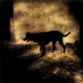 LA LEYENDA DEL CADEJO ( HISTORIA REAL)