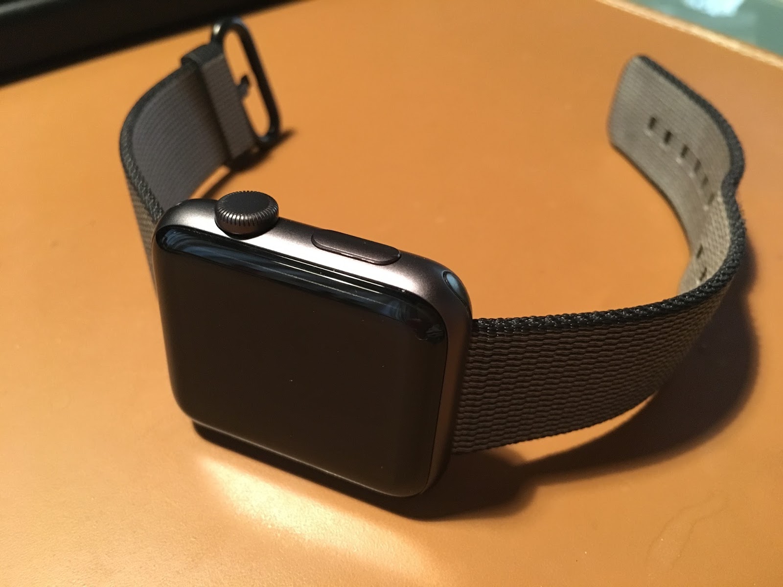 Sunday Programmer's Report: Apple Watch Series2 と Pebble