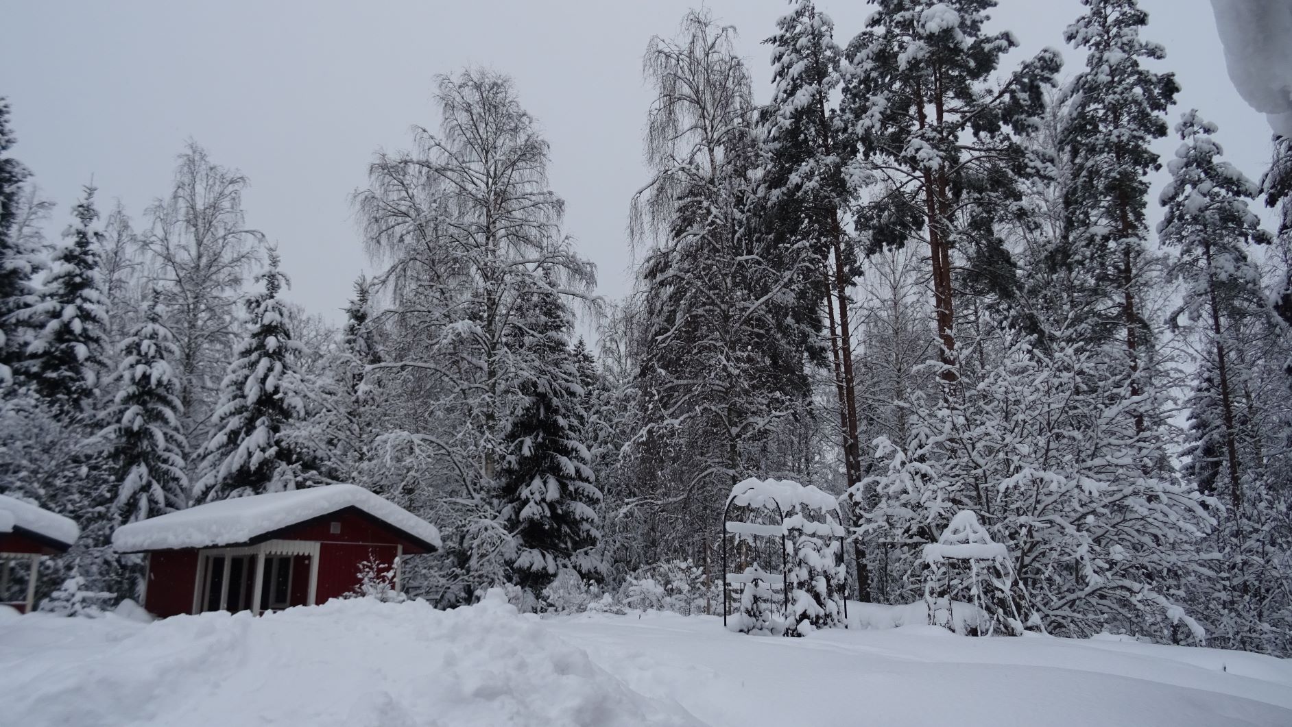 Hiidenkiven puutarhassa: Tervetuloa helmikuu!
