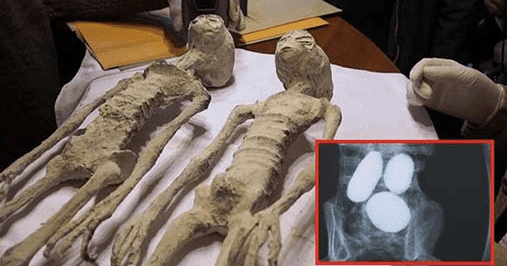 PERUVIAN RATIONALIST HUMANIST INSTITUTE: The origin of the mummies of ...