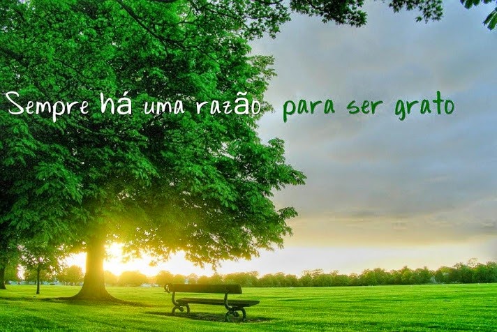 Sempre há uma razão para ser grato! | Edna Araújo