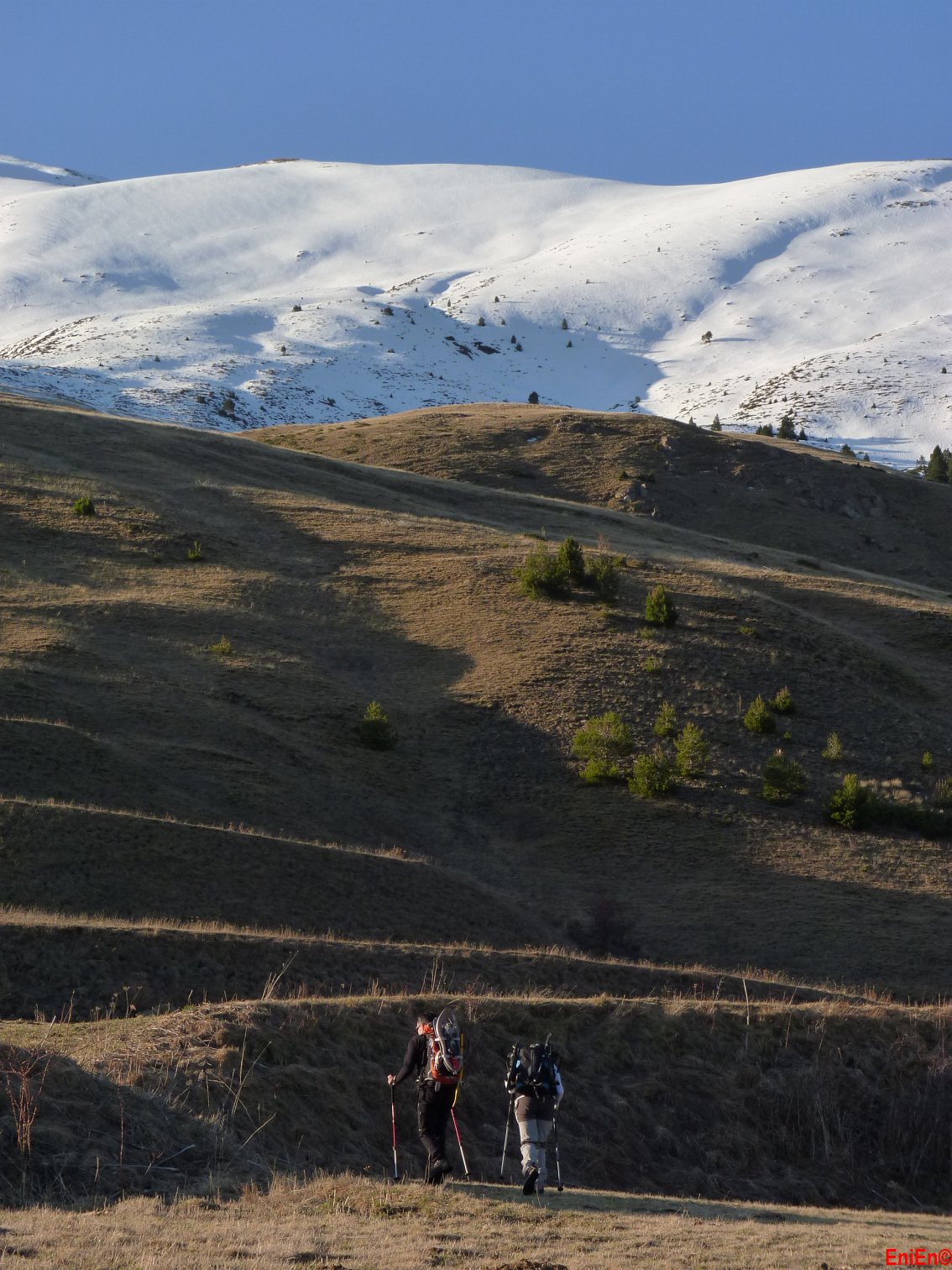 EniEn: LA BELLA JOROBA
