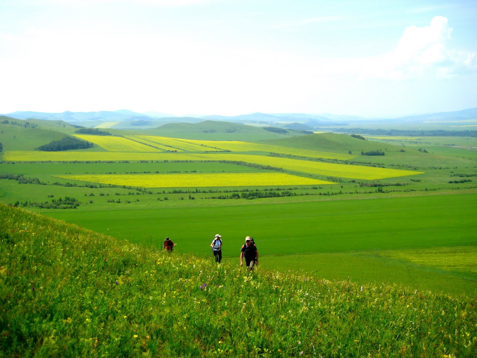 redventurous: Inner Mongolian grasslands