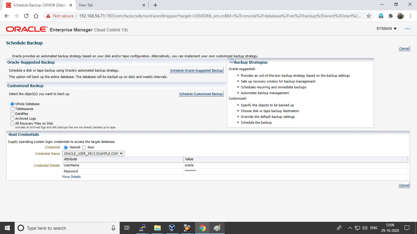 Oracle Database Commands and Practical Examples: OEM 13c - Schedule ...