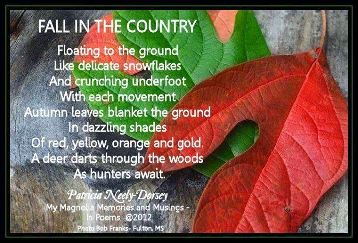 Reflections of a *Mississippi Magnolia*: You Will FALL For These ...