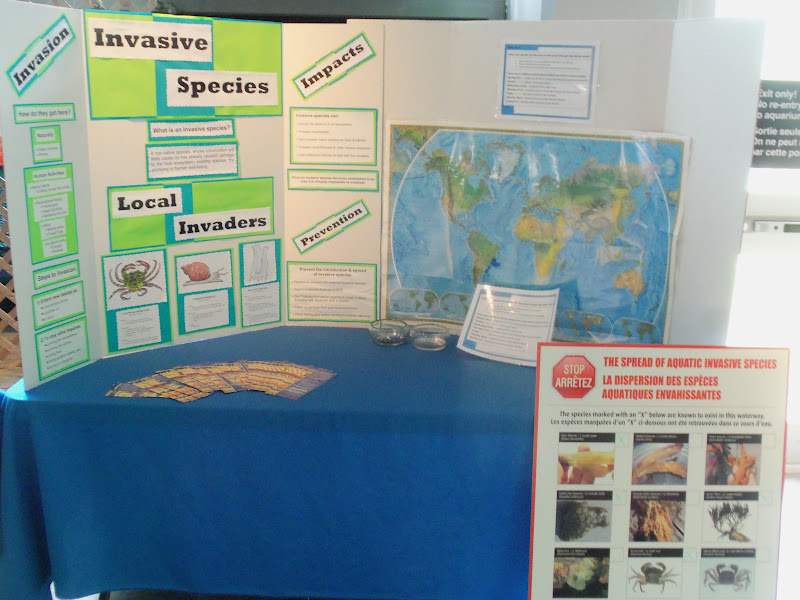 Huntsman Marine Science Centre: Invasive Species Week Interactive Exhibit