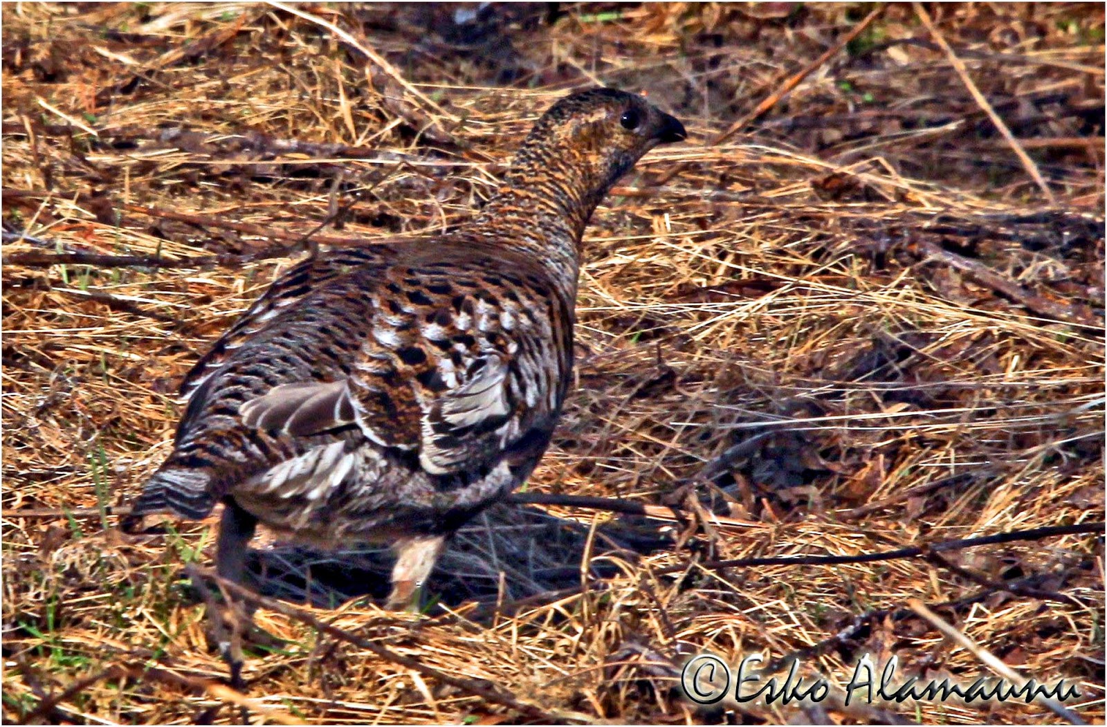 Eko-Kuvia: toukokuuta 2014