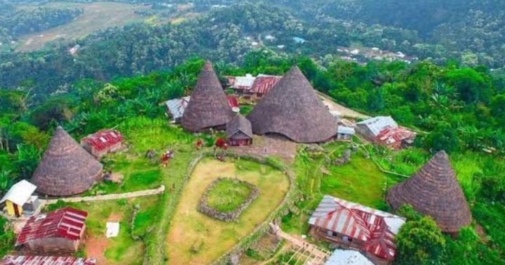 Asal usul niang todo NTT