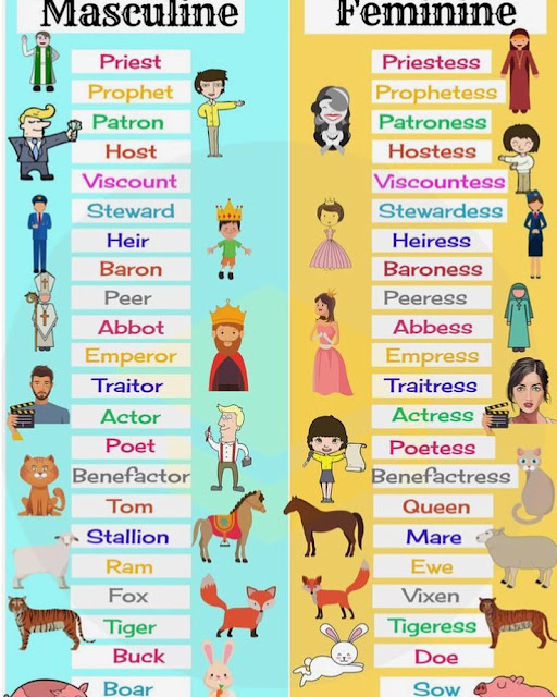 Masculine And Feminine In English masculine-and-feminine-in-english