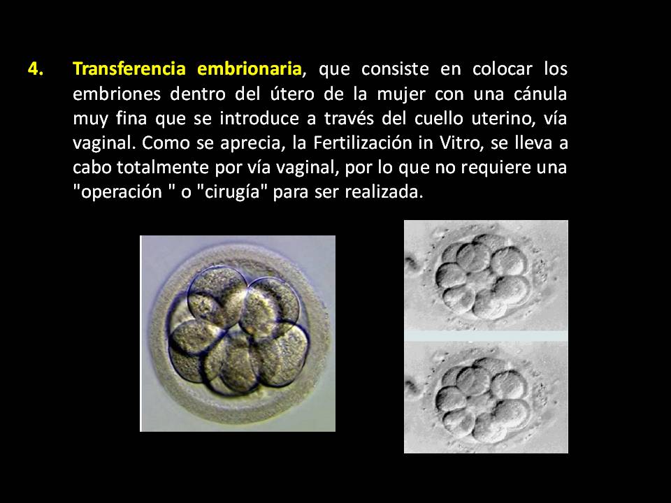 SALUD PARA LA MUJER Y EL HOMBRE: LA PAREJA INFERTIL Y LOS TRATAMIENTOS ...