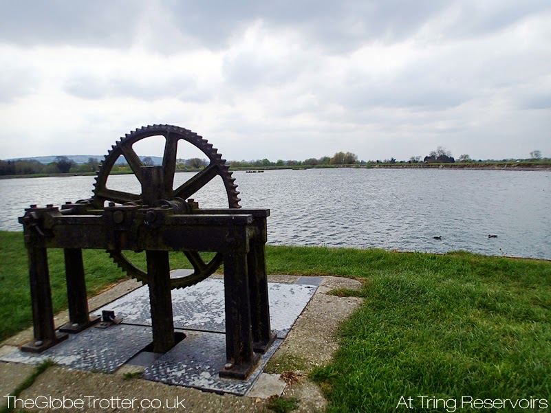 Discovering England: Tring Reservoir Walks - The Globe Trotter