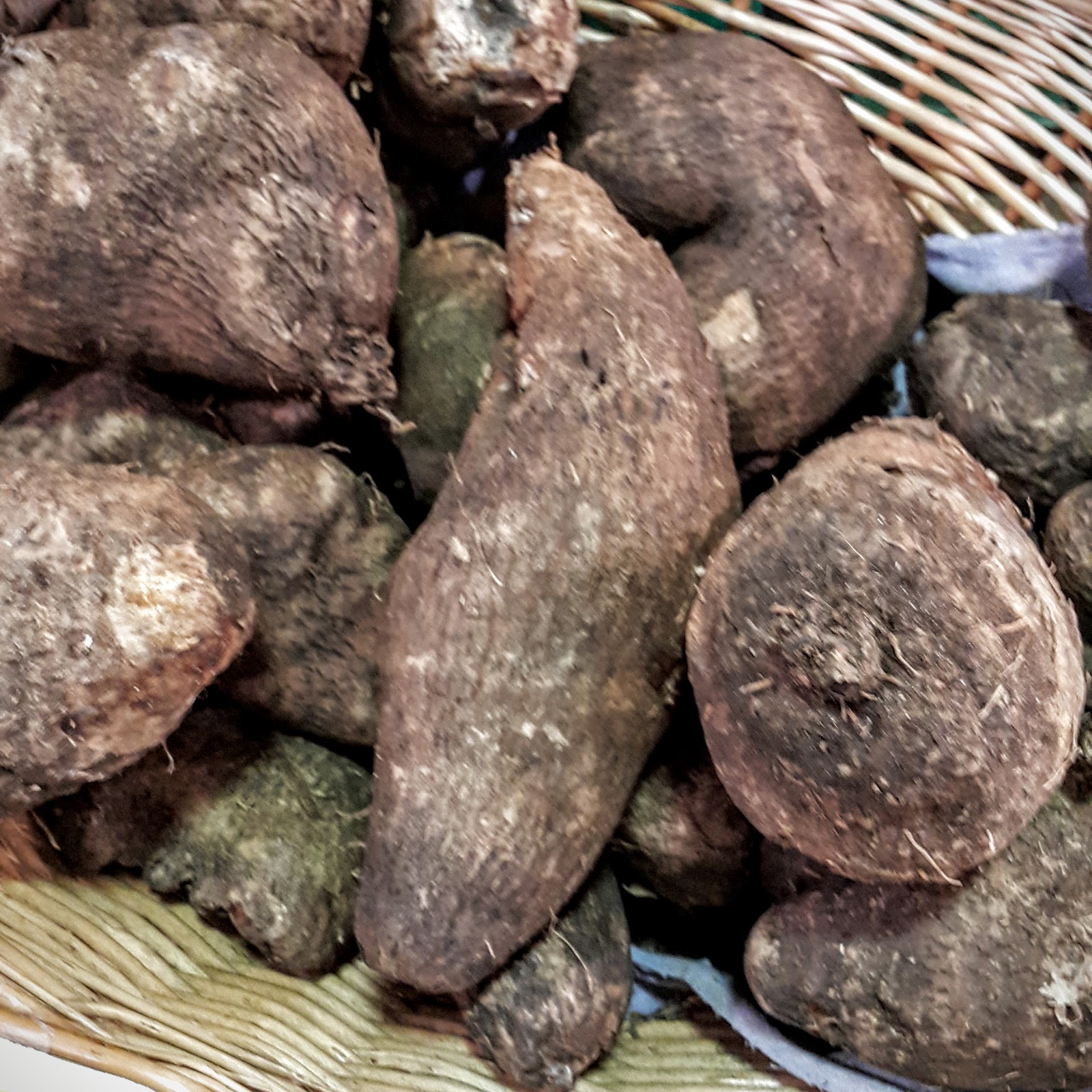 "Verdade//aspas" : 👪 Dioscoreaceae (Dioscorea discolor)