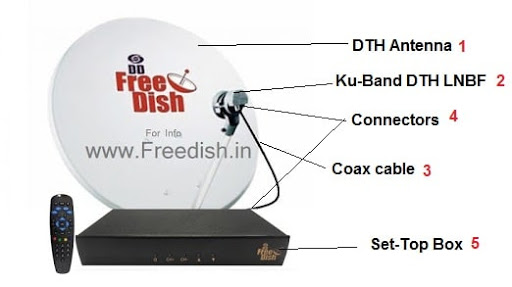 What is the cost of DD free dish?