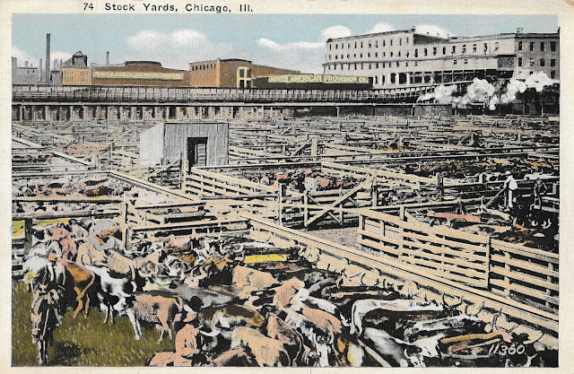 Moo & Oink, The Union Stock Yards of Chicago