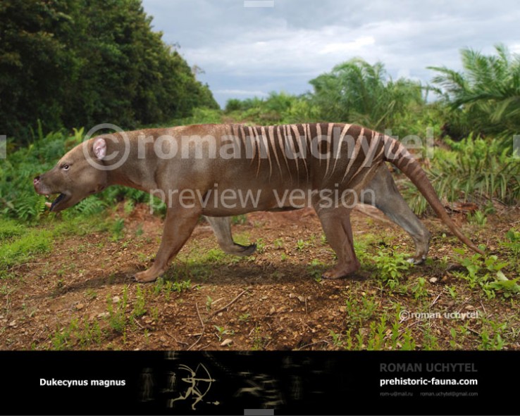 Escenarios prehistóricos: Dukecynus
