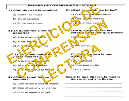 COMPRENSION LECTORA (Ejercicios)