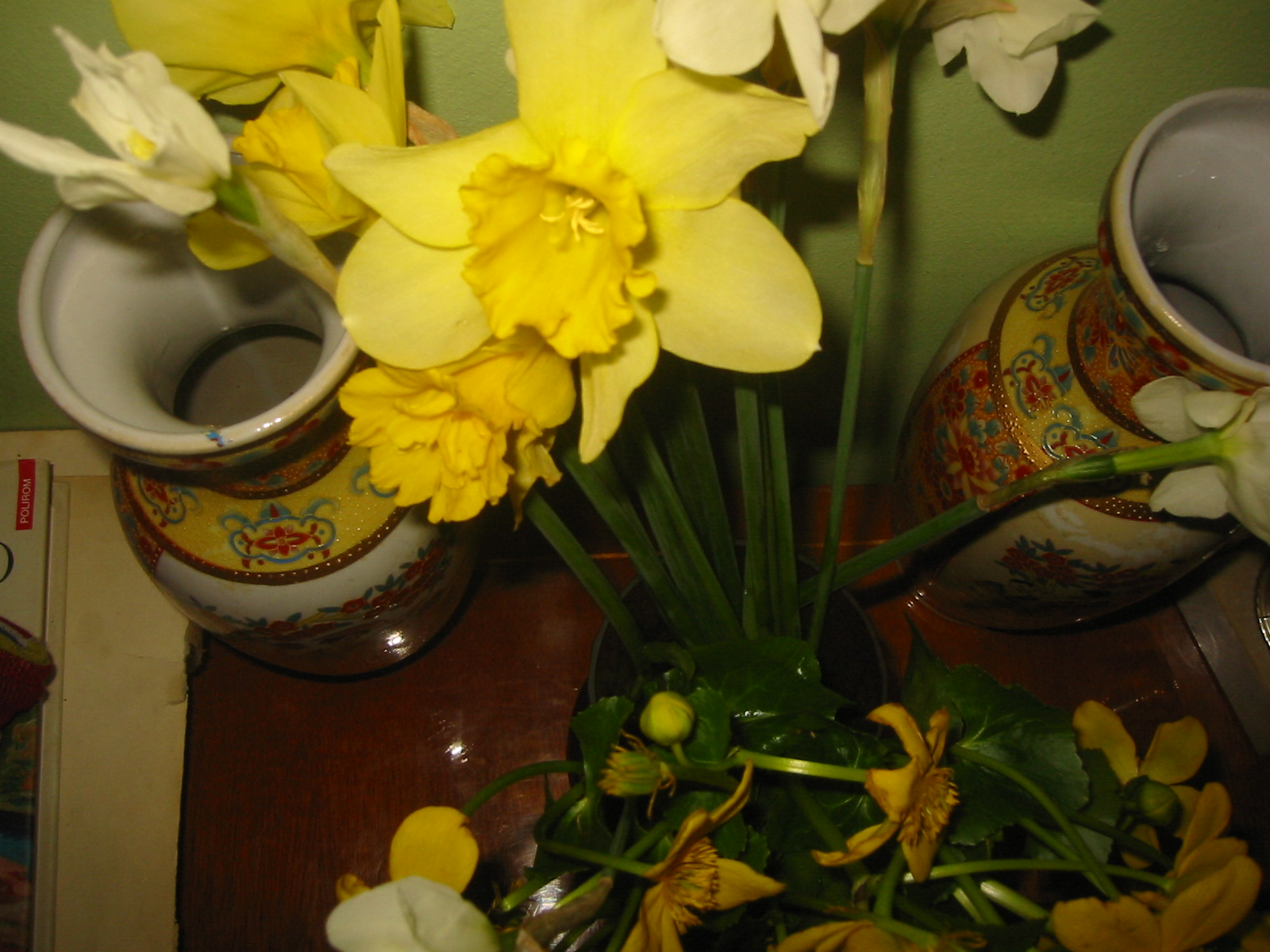 Blog de fotografii: Fotografii cu narcise