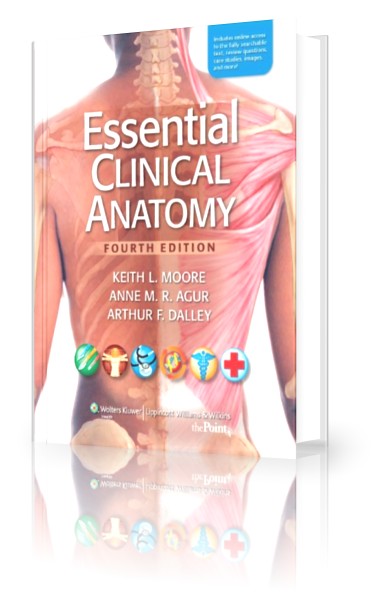 Surgery Made Easy Essential Clinical Anatomy 4th Edition Pdf