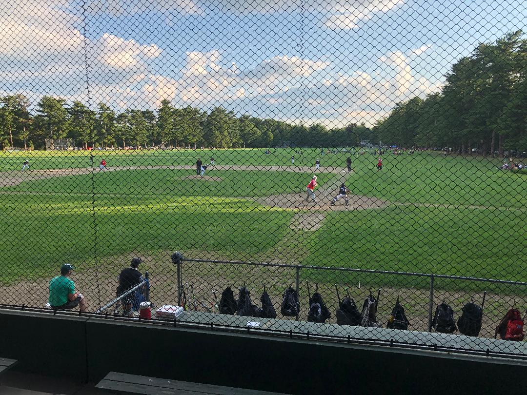 Hell's Acres: Springfield’s Lesser-Known “Historic” Sports "Shrines"