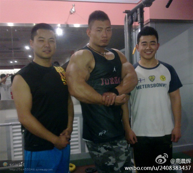 AMP - asia muscle picture: Lu Chen Hui (3)