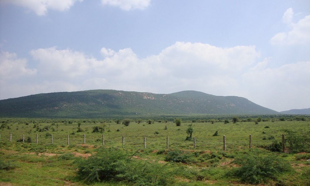 Tamilnadu Tourism: Vallanadu Wildlife Sanctuary, Thoothukudi