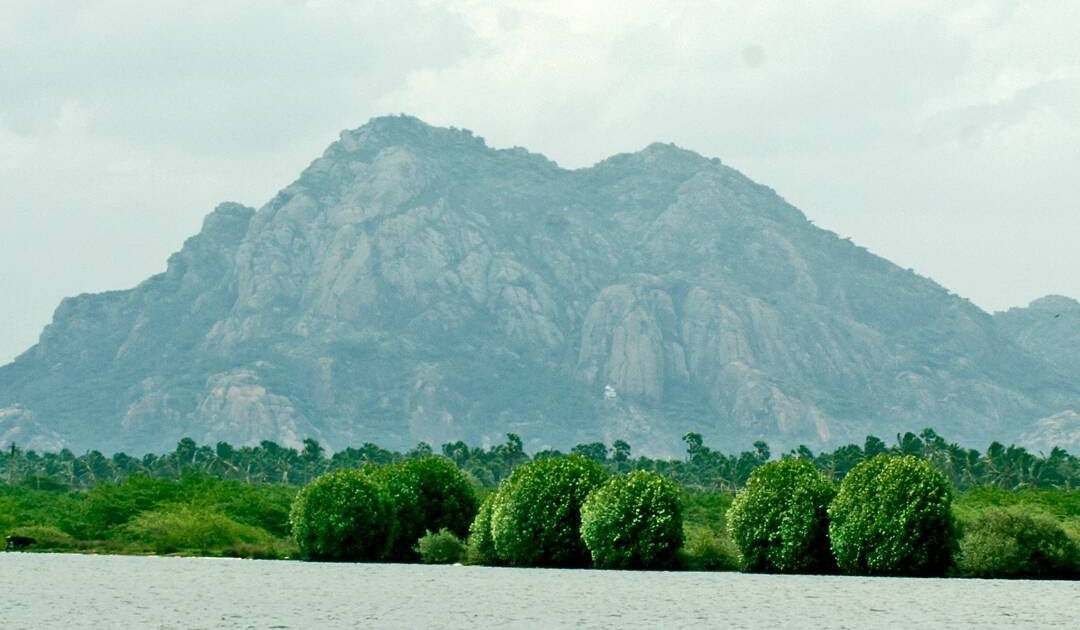KANYAKUMARI TOURISM: Manakudy backwater & Mangrove forest - Kanyakumari