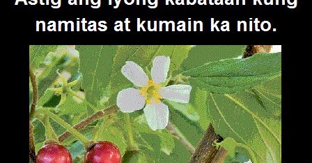 NoBenta: ...Namimitas at Kumakain Kami ng Alatiris