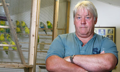 Budgies are Awesome: Inside the brutal world of budgie shows