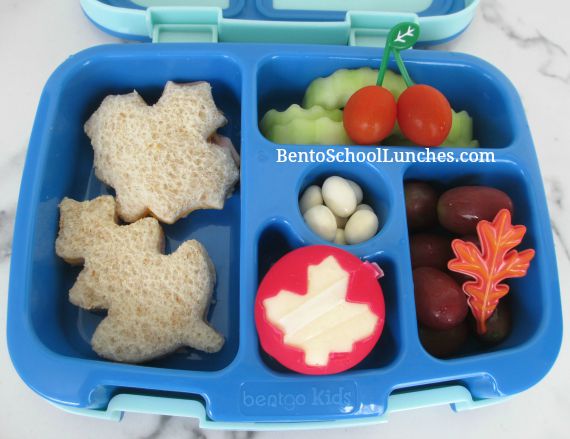 Bento School Lunches : Fall Leaves Lunches