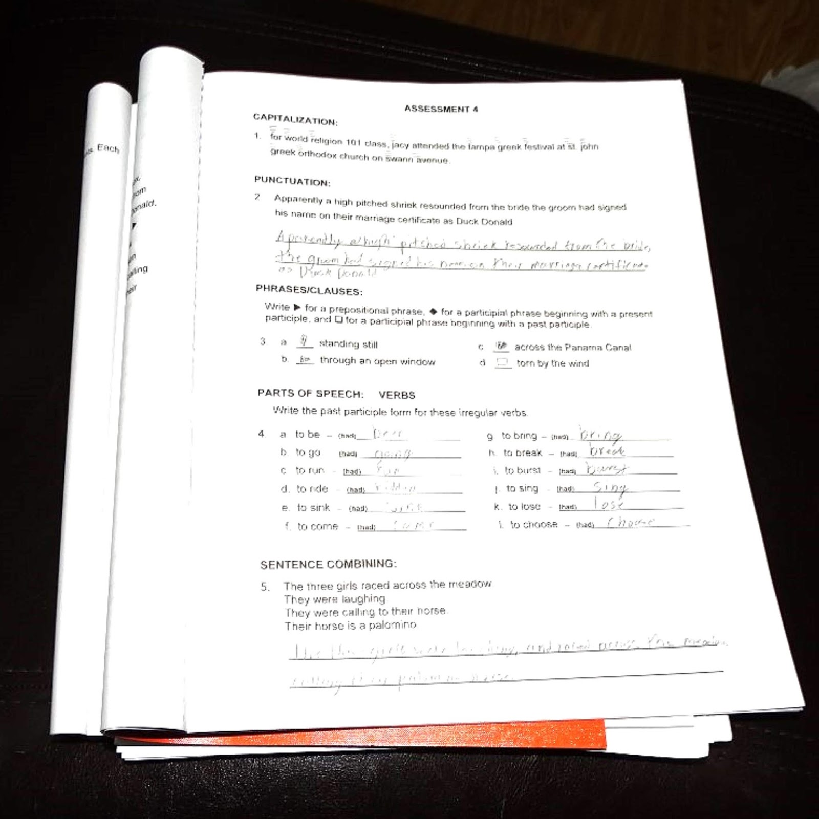 Embracing a Healthy Family: Easy Grammar Ultimate Series: Grade 9 by ...