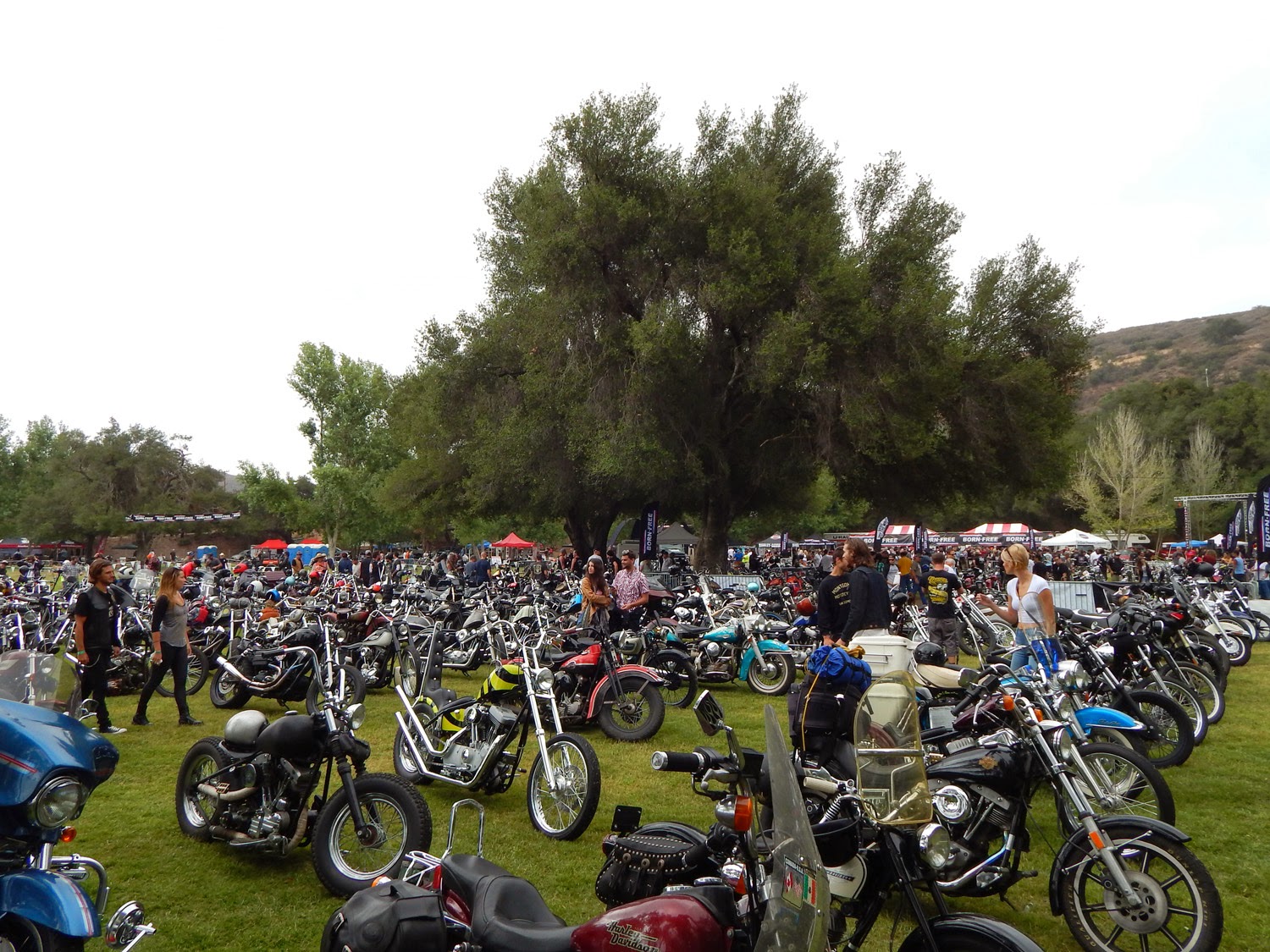 WATTO Distinctive Metal Wear: Born Free 6 Bike Show