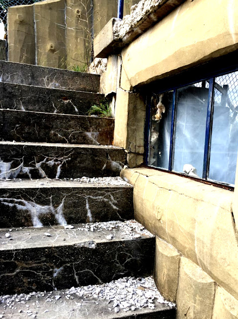 RETRO KIMMER'S BLOG: 22 NEW PHOTOS OF HARRY BENNETT'S LODGE