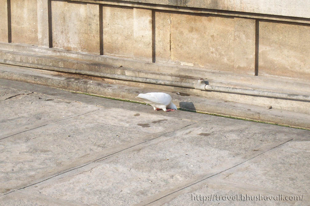 Day-Trip to Kodumudi temples & Muthur Soliswarar Temple (Erode - Tamil ...