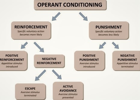 Operant Conditioning Definition The Operant Conditioning Theory and Essential and Secondary ...