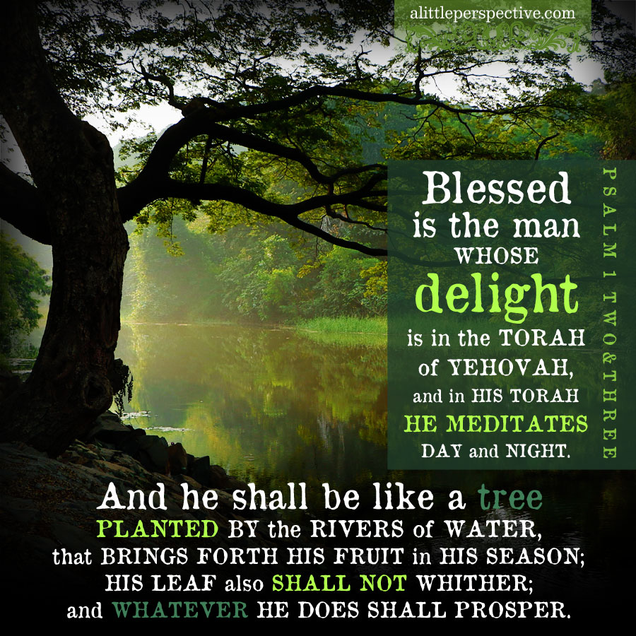 Day 121 Psalms day-121-psalms