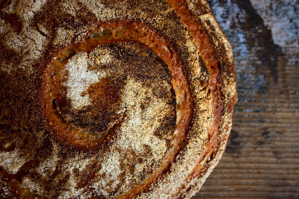Tartine Bread Experiment: Sidebar Sunday: Michette