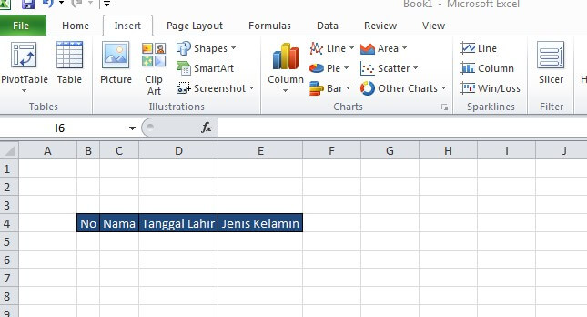Cara Membuat Border Otomatis di Ms. Excel dengan Mudah