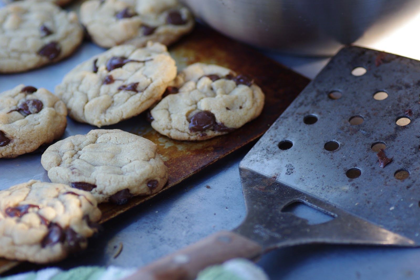 Bite me, I'm vegan: Grilled cookies