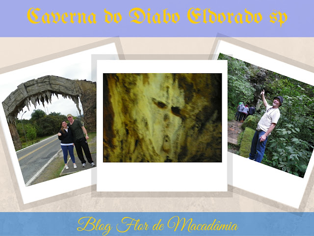 Imagens Vanessa Reese - Flor de Macadâmia